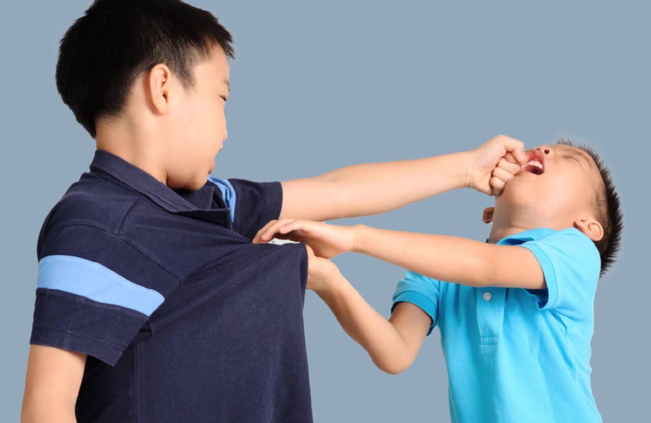 Aggression in Childhood - Marcy Willard PhD