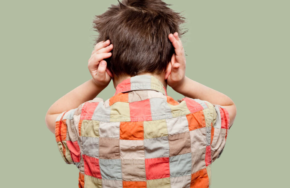 Following Directions: A Guide for Parents - Marcy Willard PhD